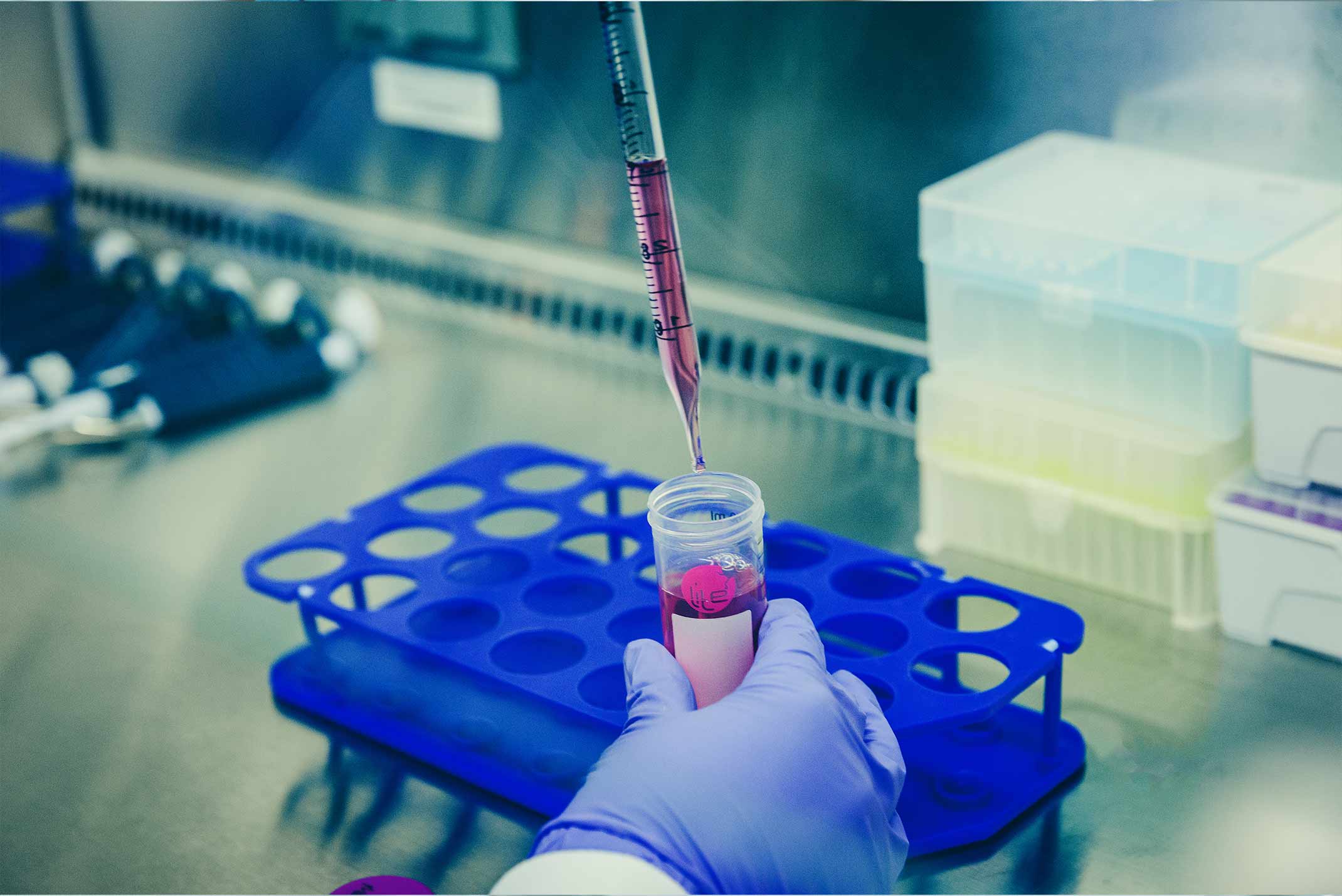 Thank You Newsletter - Team Hub Ottawa